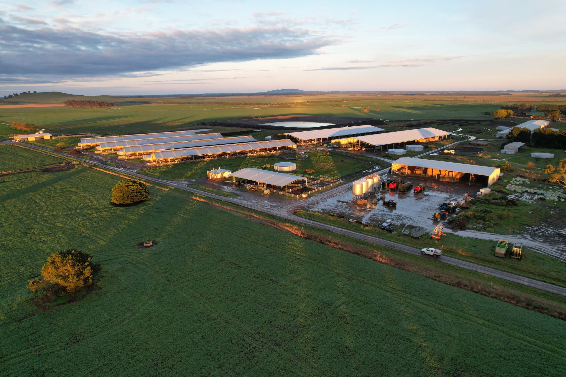 Australian Livestock Farms – GC Con