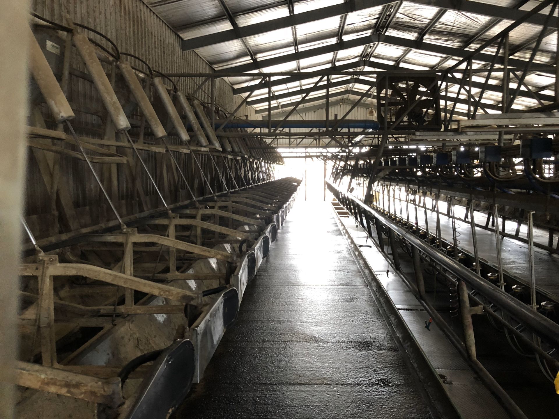 Pearson 80 Rotary dairy – GC Con